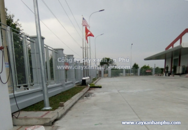 Nhà máy Emivest Feedmill VN - Công Ty Cây Xanh An Phú