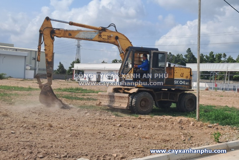 Nhà máy Ten Tech Composite VN - Công Ty Cây Xanh An Phú