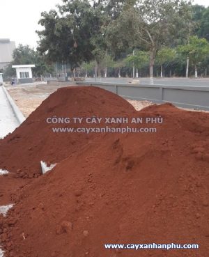 Đất Đỏ Trồng Cây - Công Ty Cây Xanh An Phú